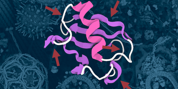 PTMScan HS Kits for Simplified PTM Proteomics