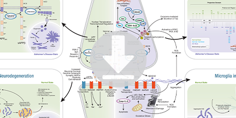 Resources for Neurodegeneration Signaling Pathways