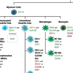 Resources for Discovery Assay Platforms