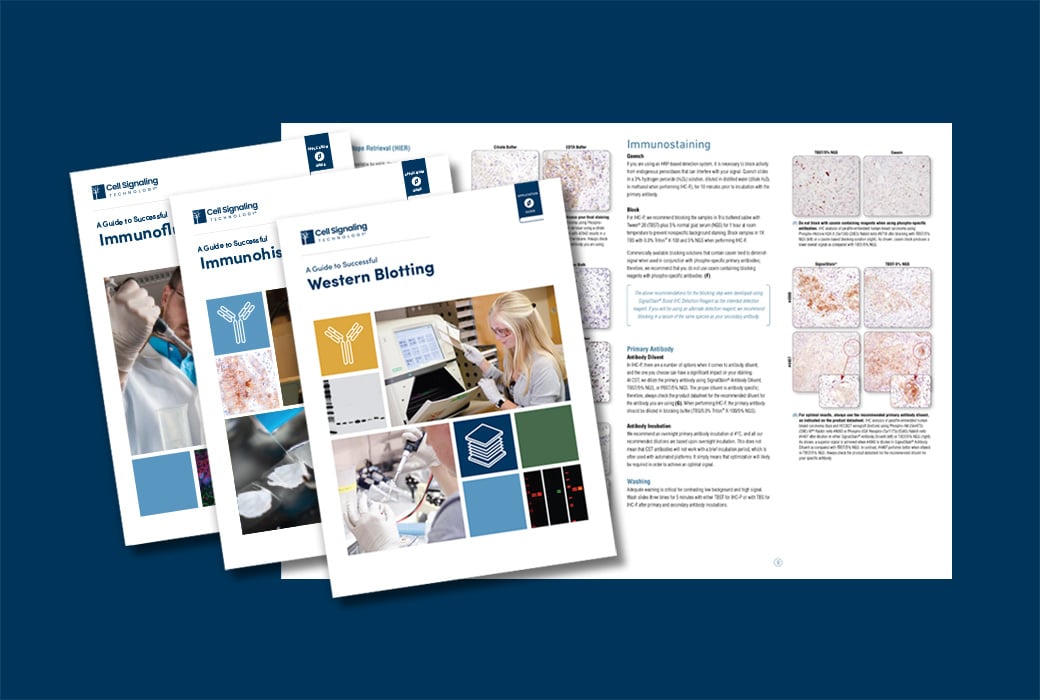 New Student Starter Pack 2024