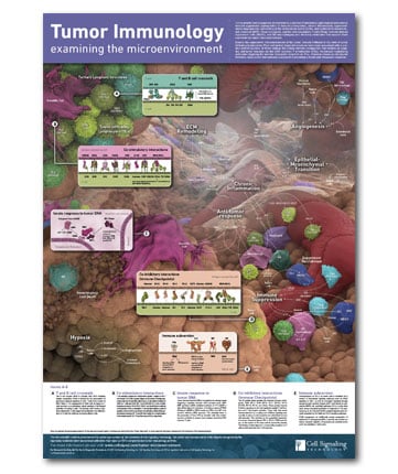 Poster Download | CST