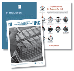 Download A Guide to Successful IHC