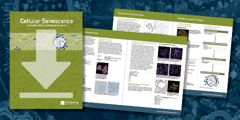 Cellular Senescence eBook