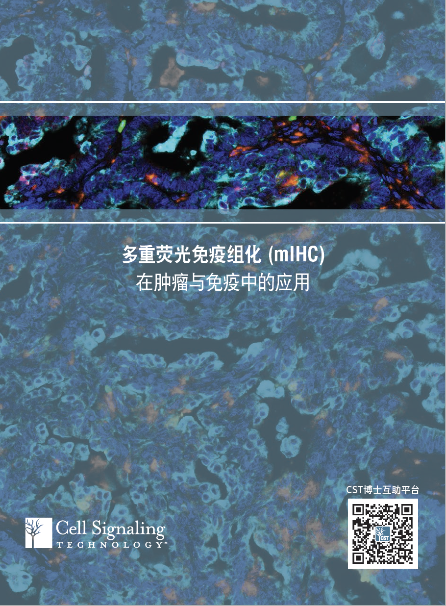 下载：多重荧光免疫组化 (mIHC) 在肿瘤与免疫中的应用