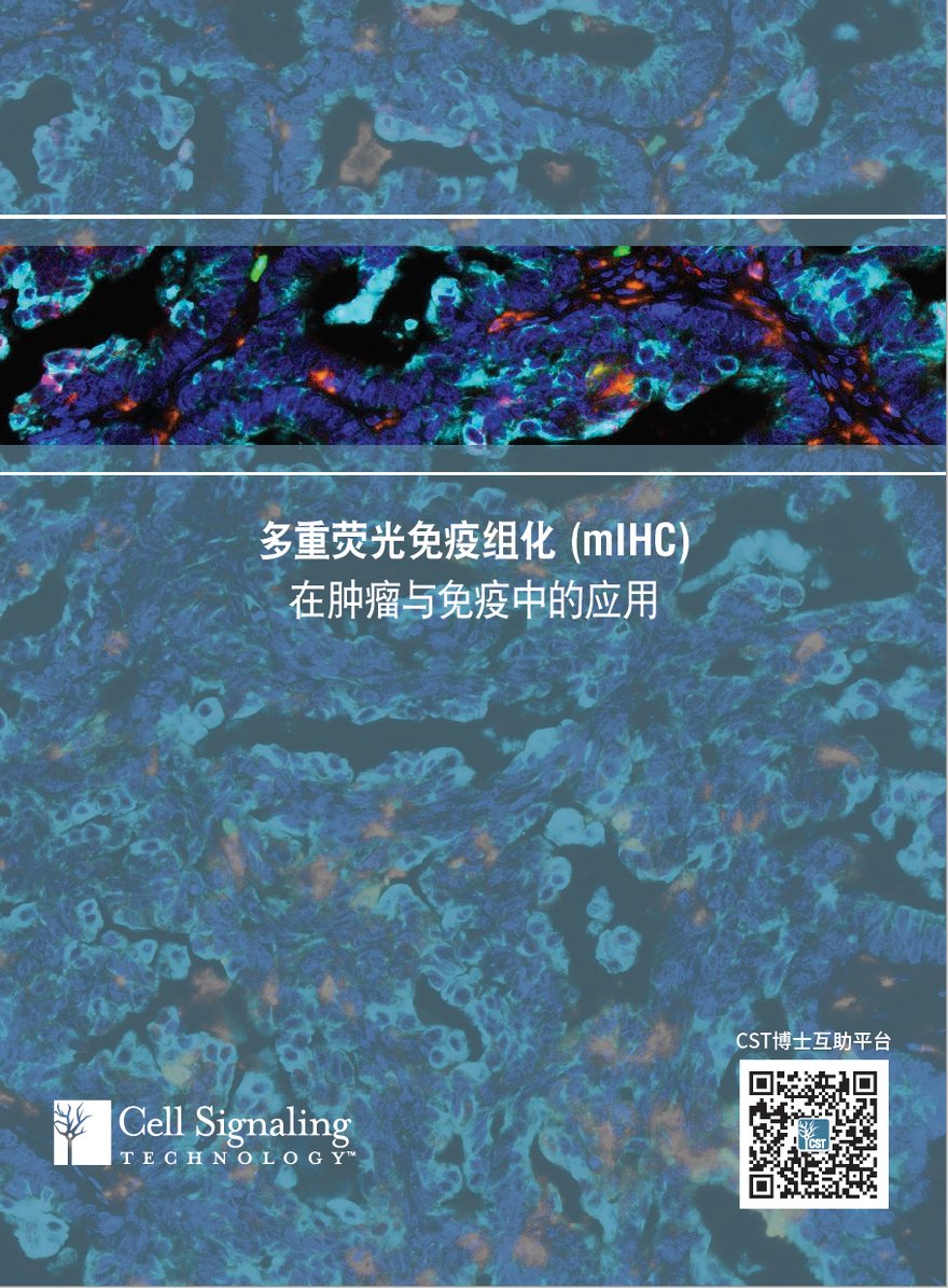 下载：多重荧光免疫组化 (mIHC) 在肿瘤与免疫中的应用