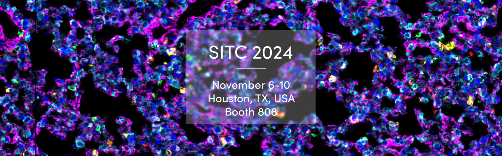 SITC 2024