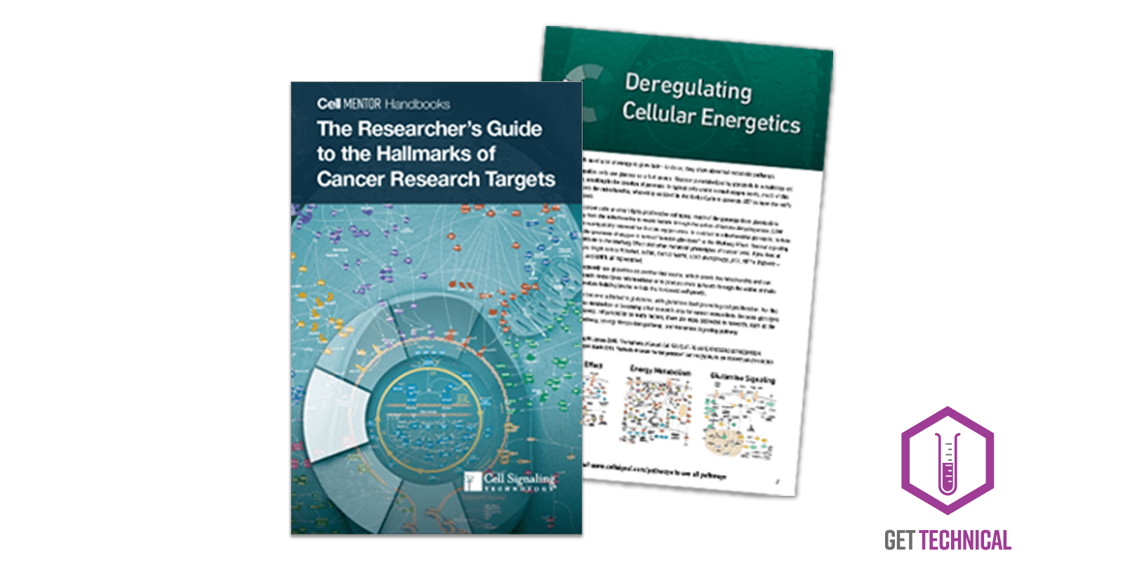 The Researcher's Guide to the Hallmarks of Cancer Research Targets